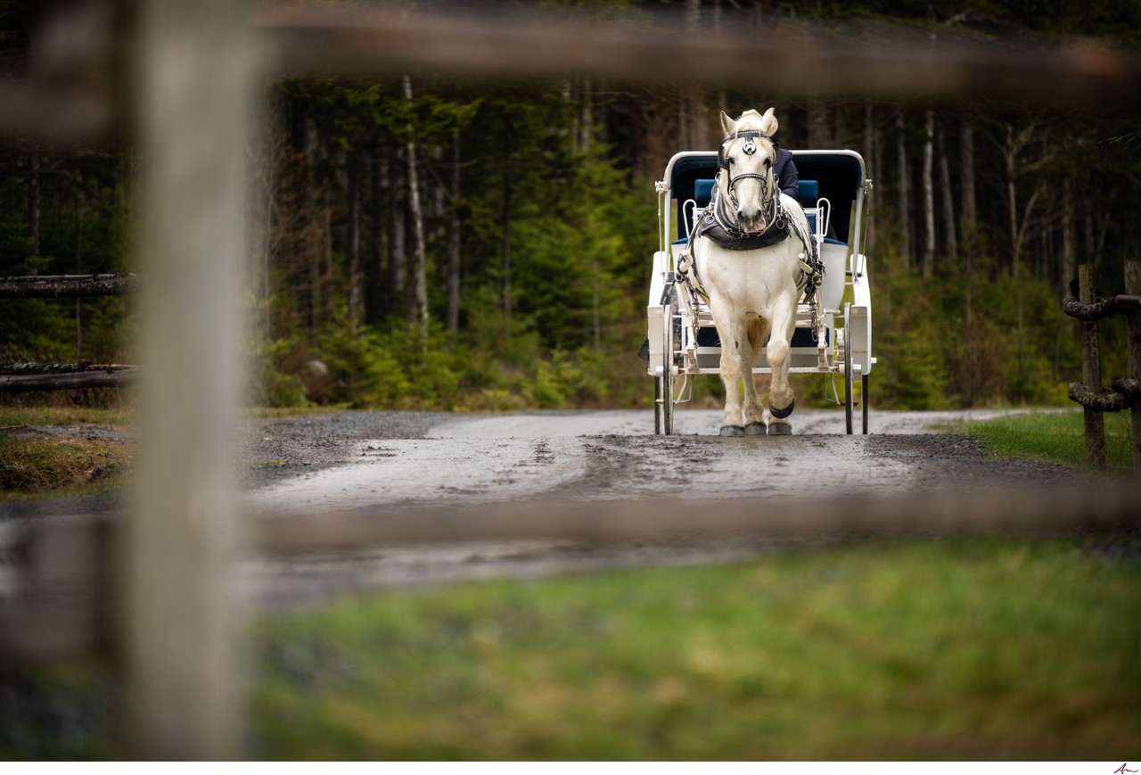 Hatfield Farm - Alex MacAulay Photography