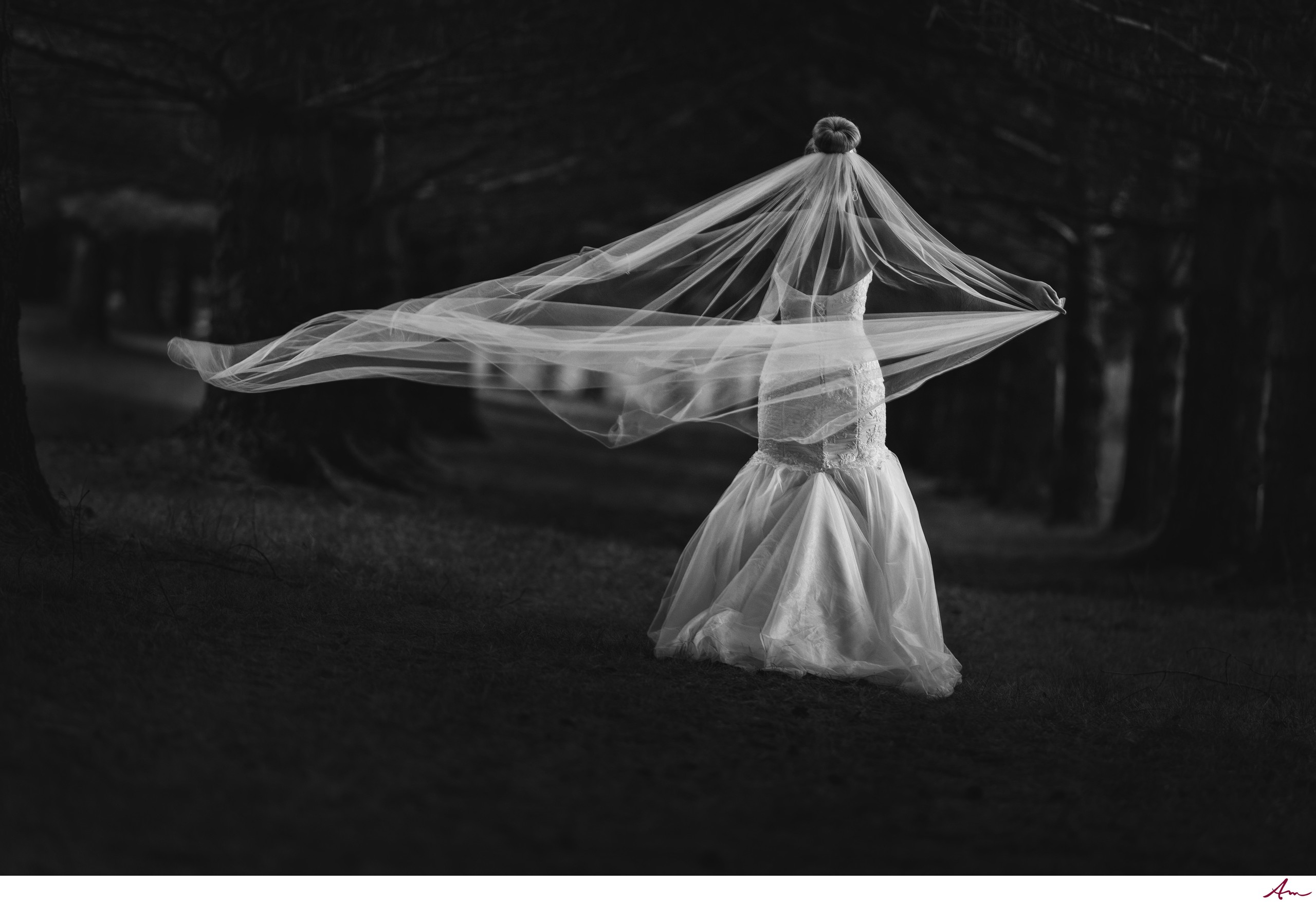 Halifax Wedding Photographer | Two Photographers, One Story | Alex ...