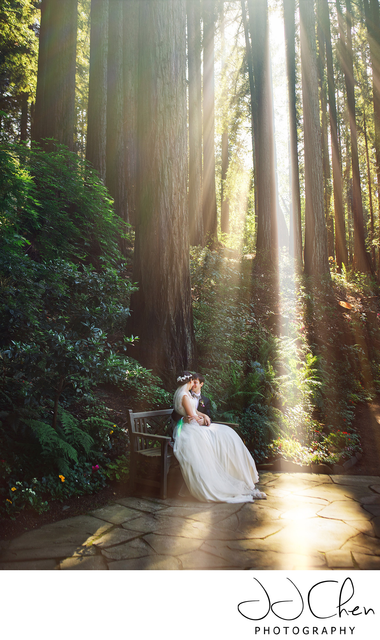 San Francisco Wedding Photographer - JJ Chen Photography