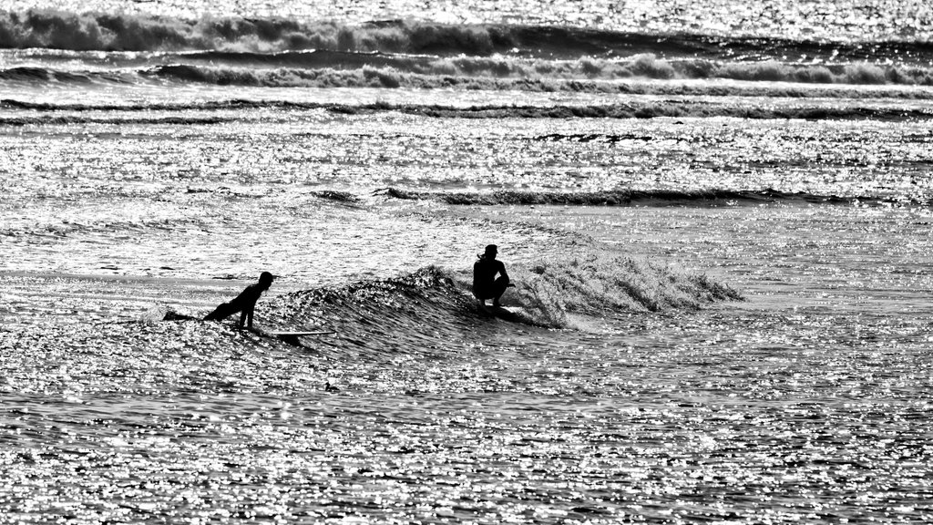 glenn david photography