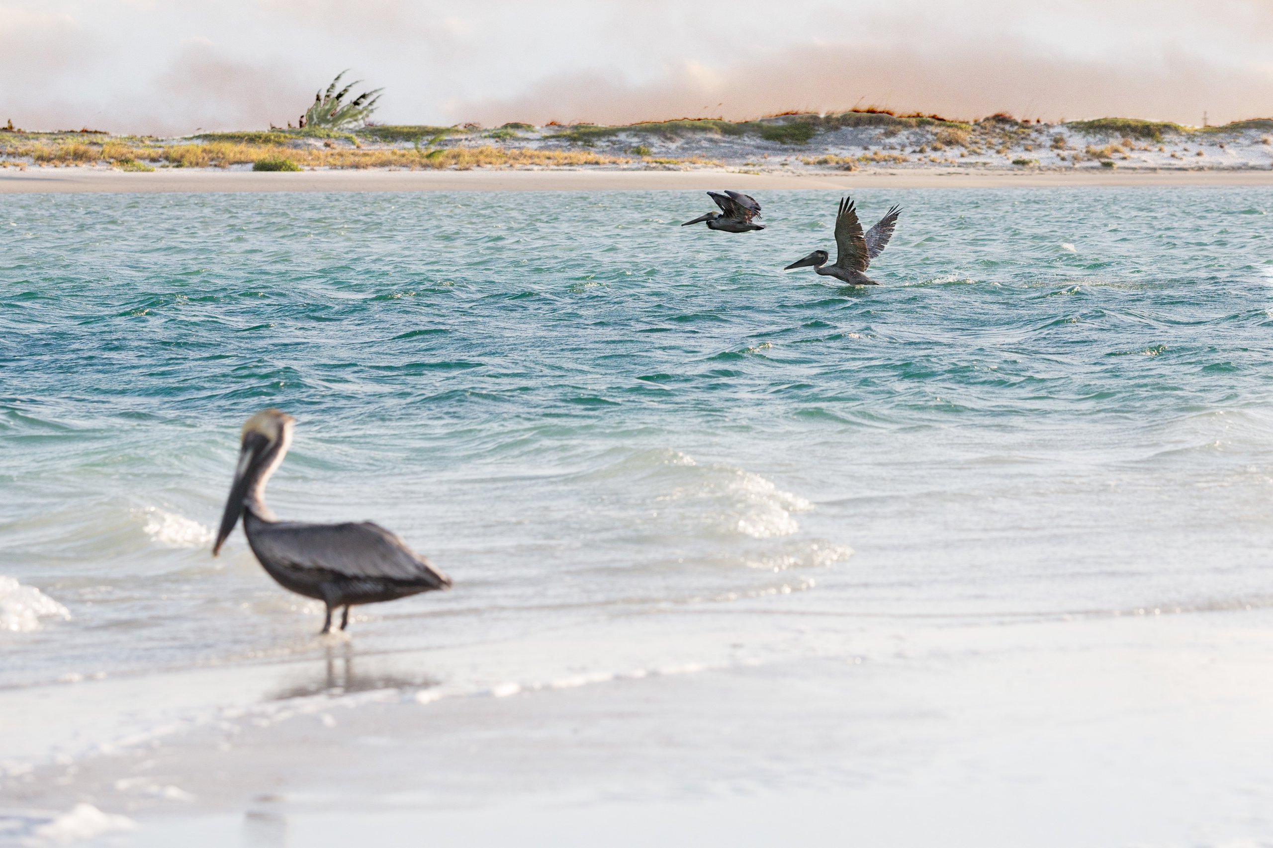 glenn david photography