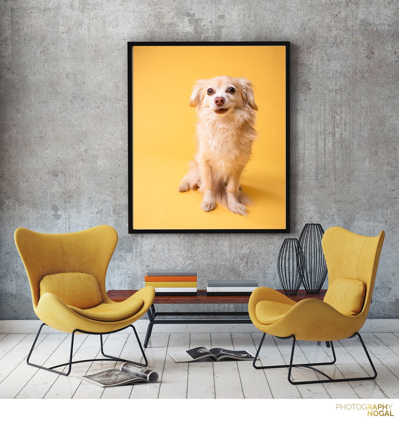 STUDIO DOG PORTRAITS - Raph Nogal