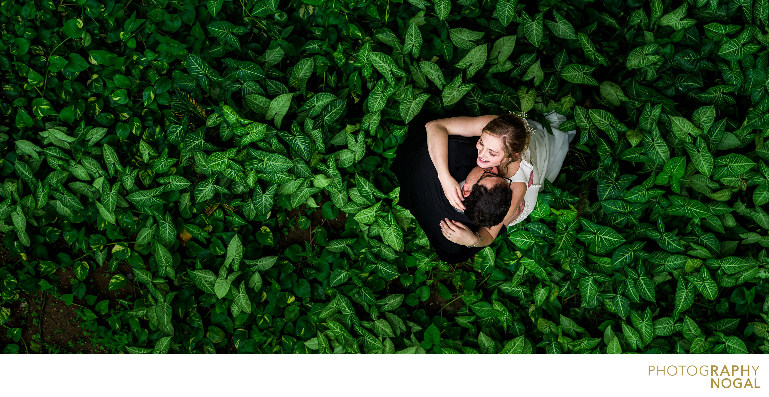 Etobicoke Photographer | Weddings, Headshots, Family + - Raph Nogal