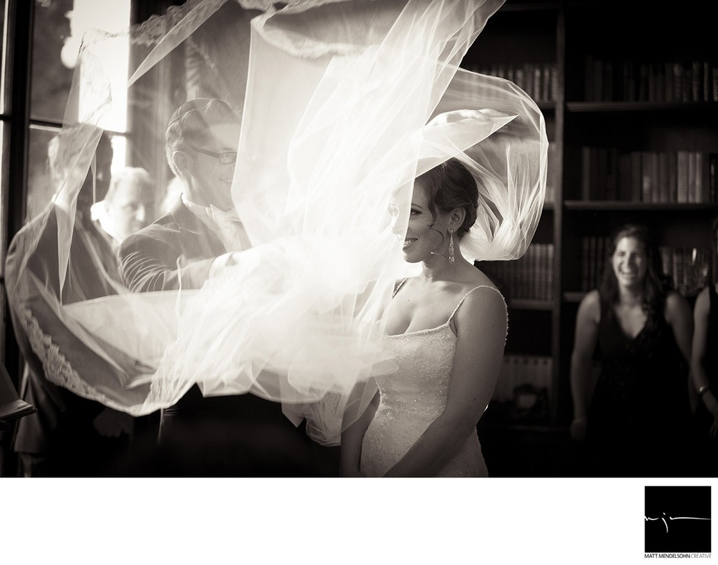 Washington DC, VA, MD Wedding and Portrait Photographer - Matt ...