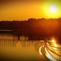 Washington DC, VA, MD Wedding and Portrait Photographer - Matt ...