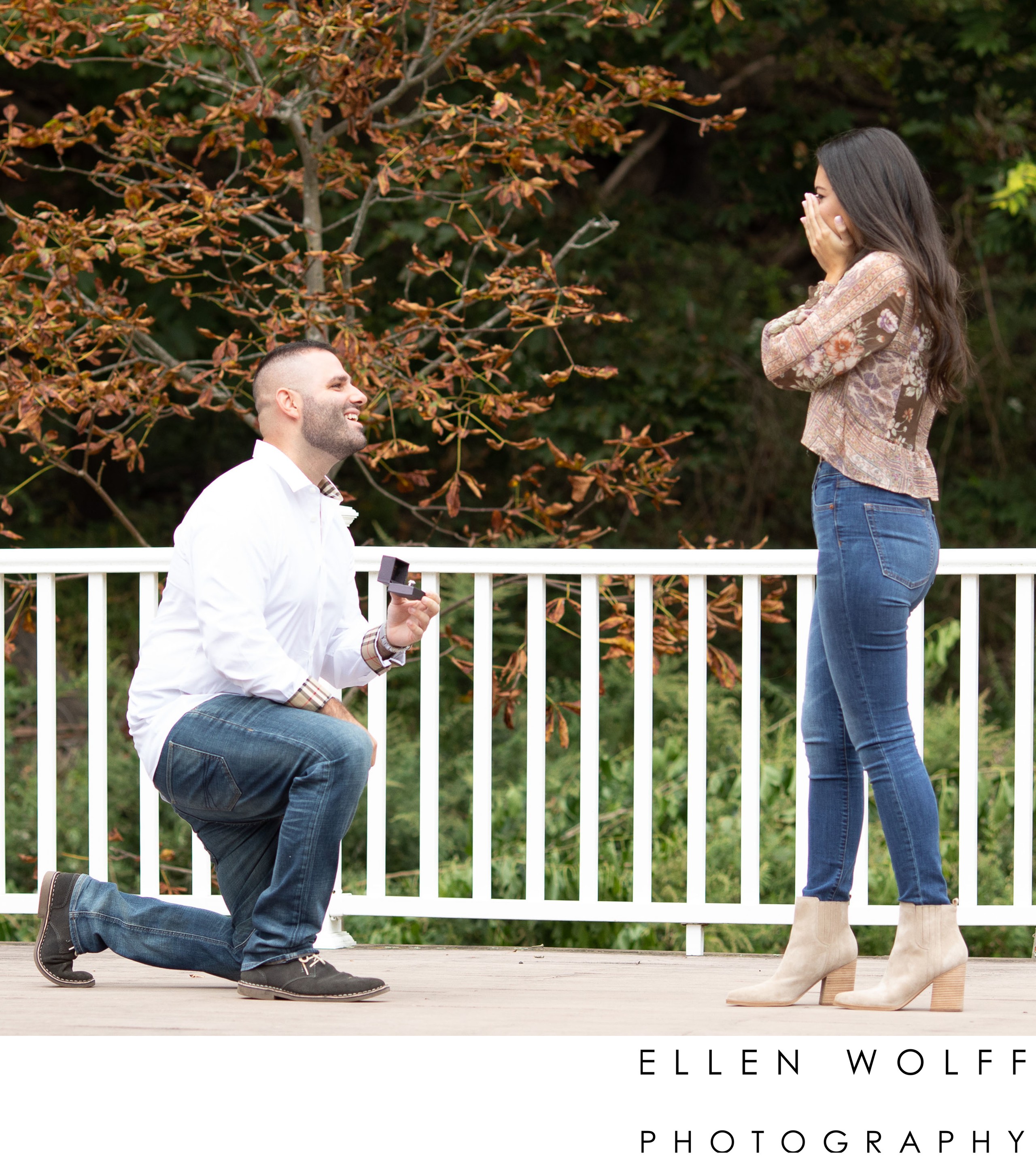 surprise marriage proposal - Ellen Wolff Photography