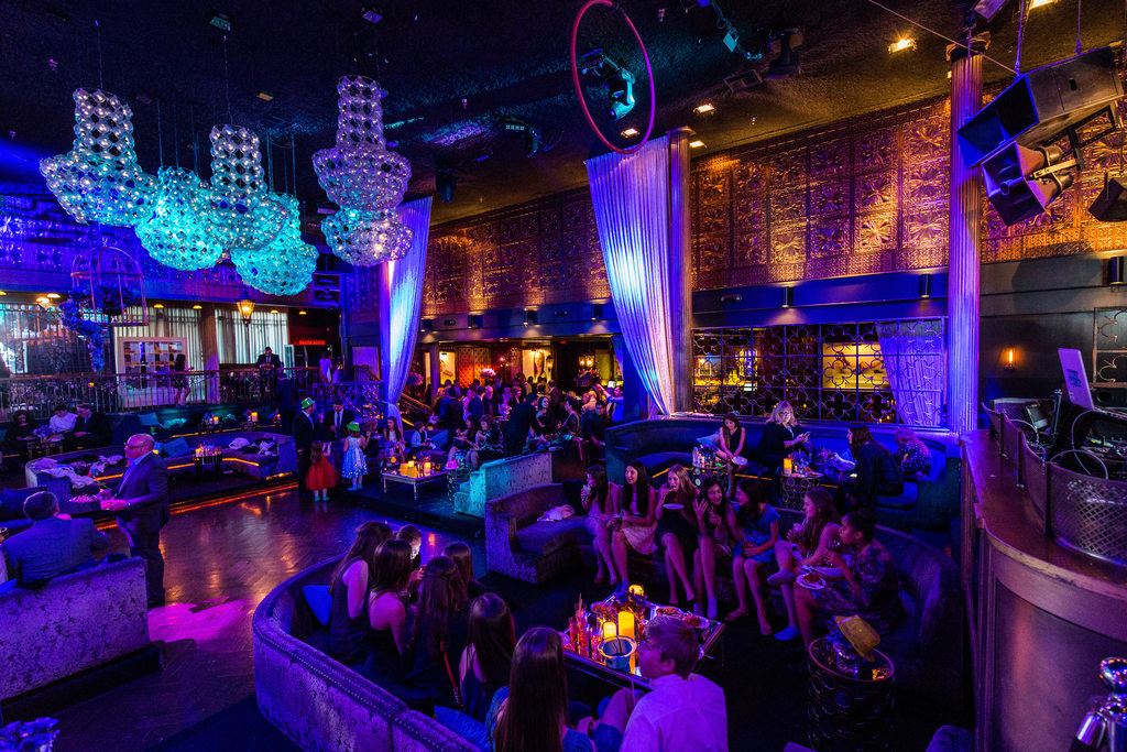 Los Angeles Party Photographer - Embrace Life Photography