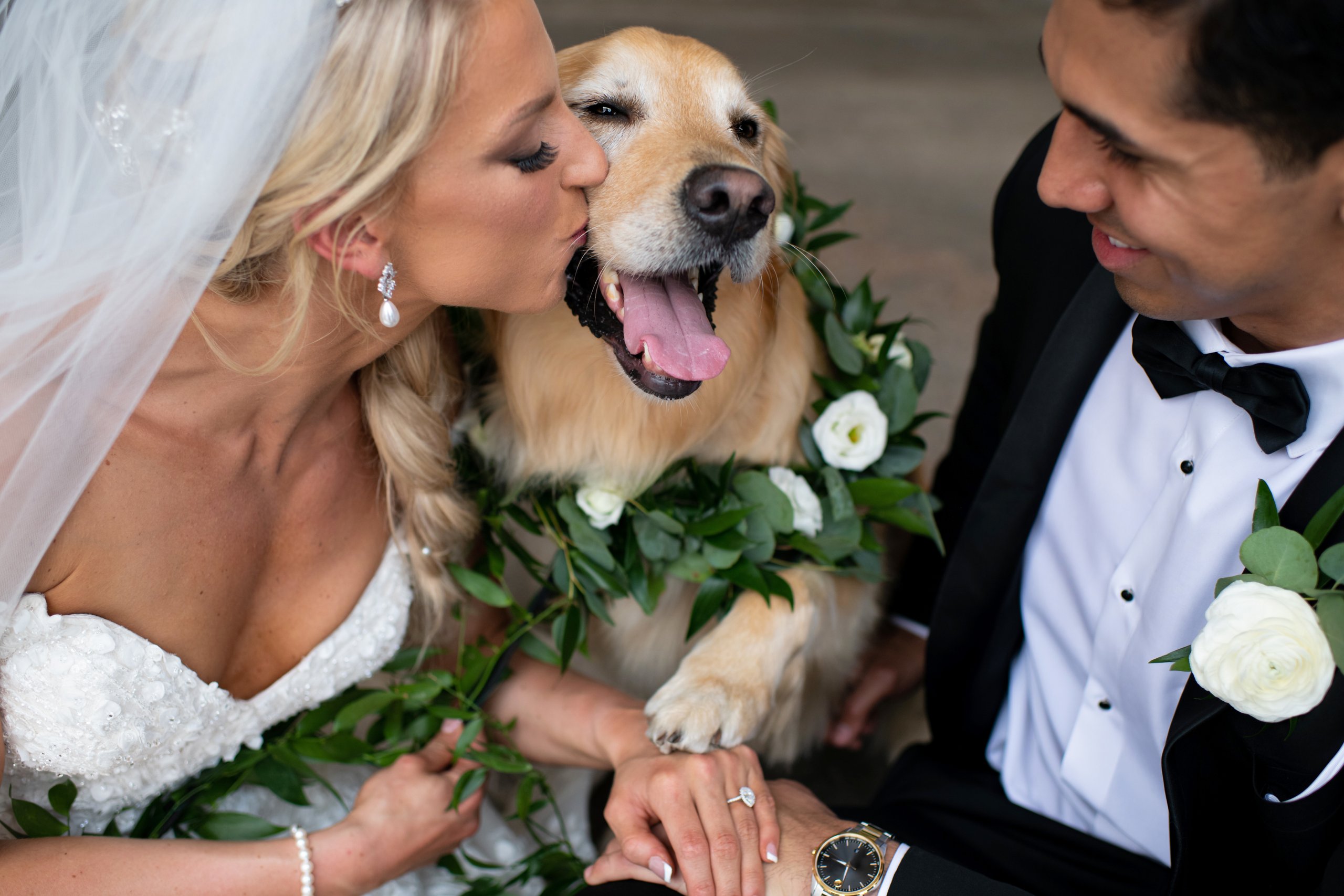 Nelly Saraiva - Wedding & Boudoir Photographer - Nelly Saraiva ...