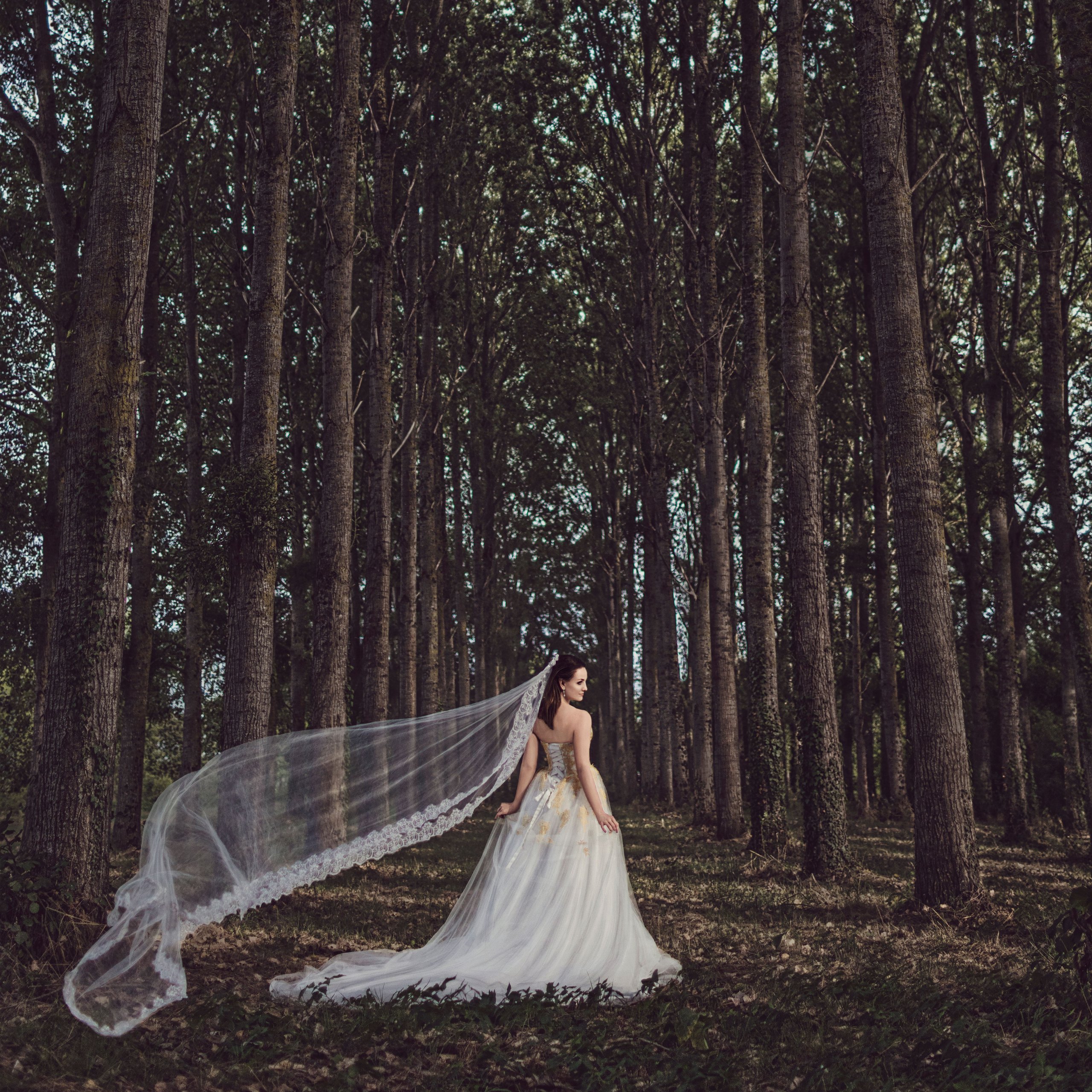 Los Angeles Wedding Photographer | Michael Anthony Photography ...