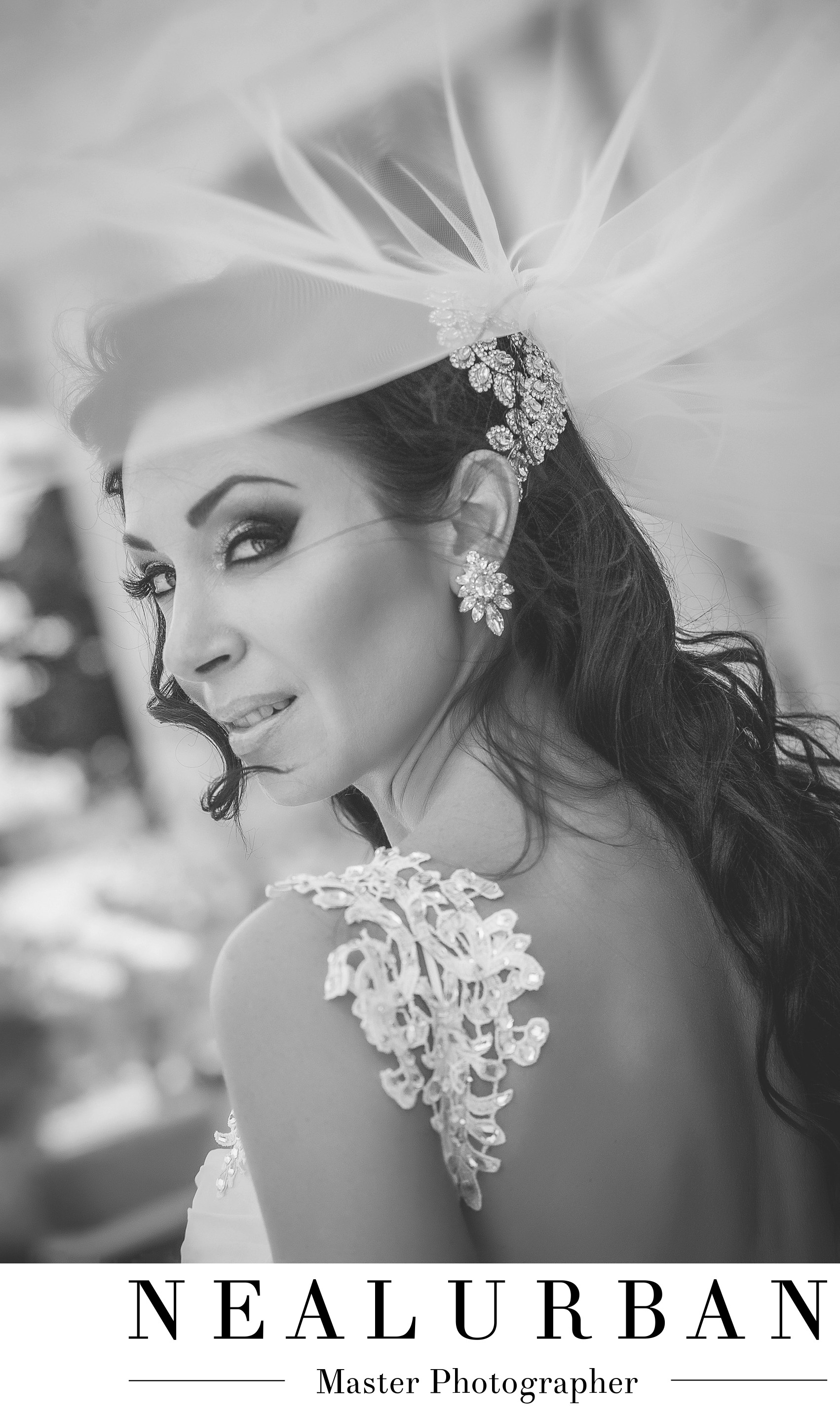 buffalo bridal portrait with veil at our lady of victory weddings ...