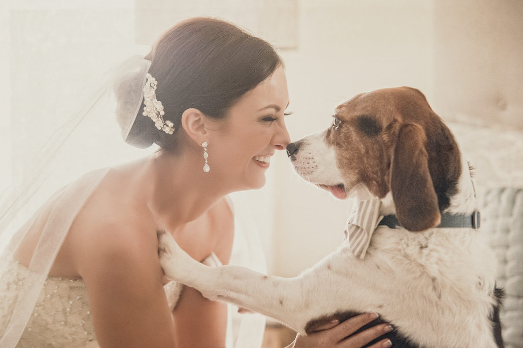 Buffalo Wedding Photographers - Neal Urban Photography - Wedding ...