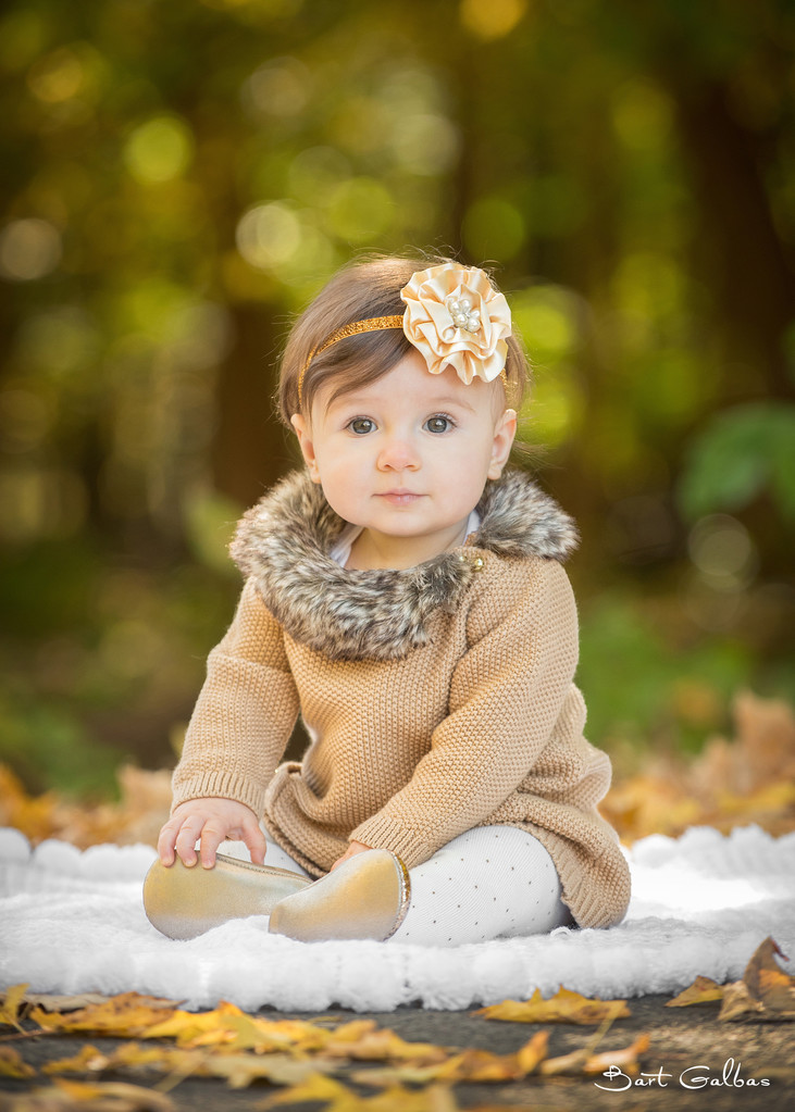 Glenview Family and Kids Fall Portrait Photography - Portrait ...