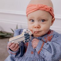 Smash Cake - Tami Carda Photography Sioux Falls, South Dakota Portrait ...