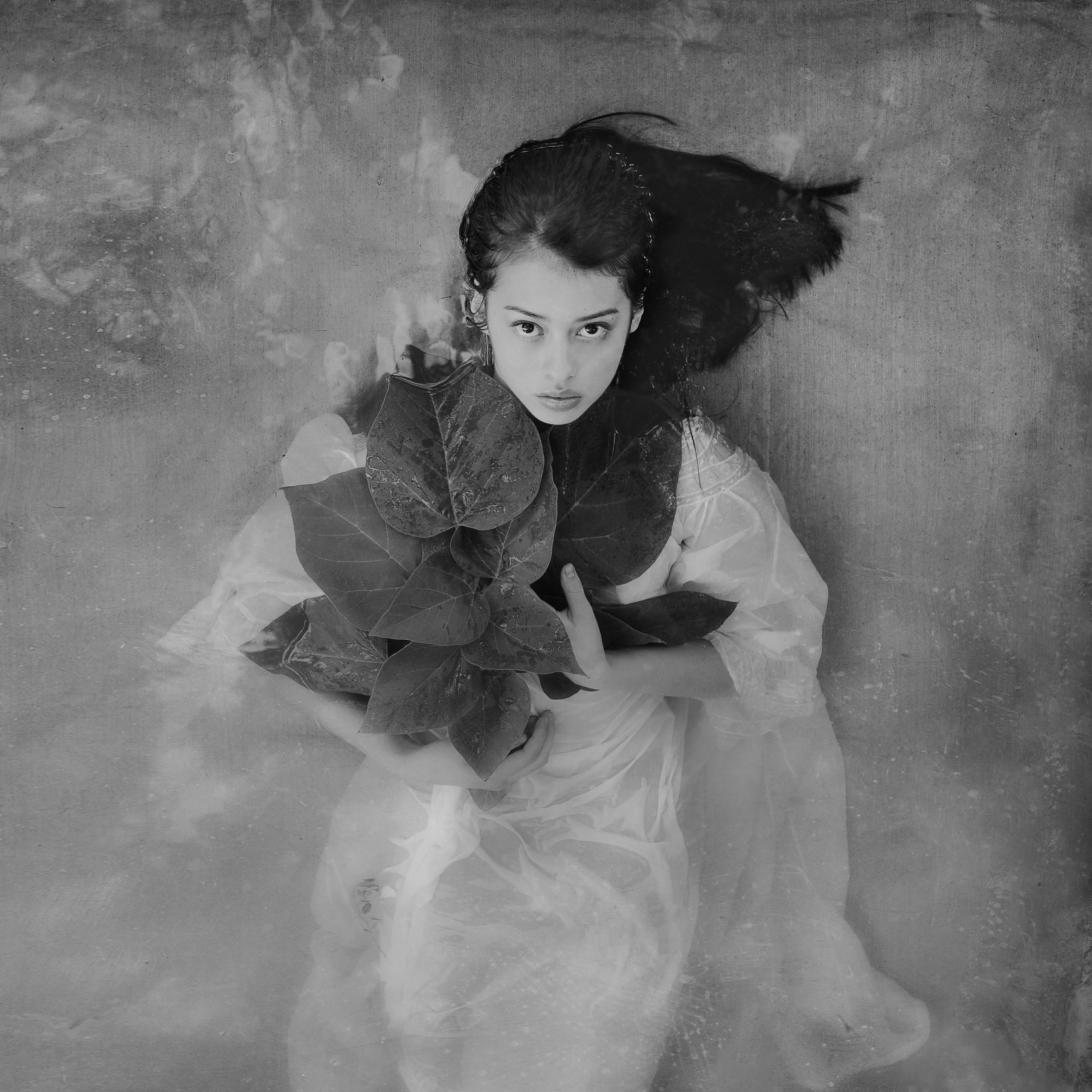Sheltered - Women's Figure Study - Jennifer Thoreson, Multidisciplinary ...