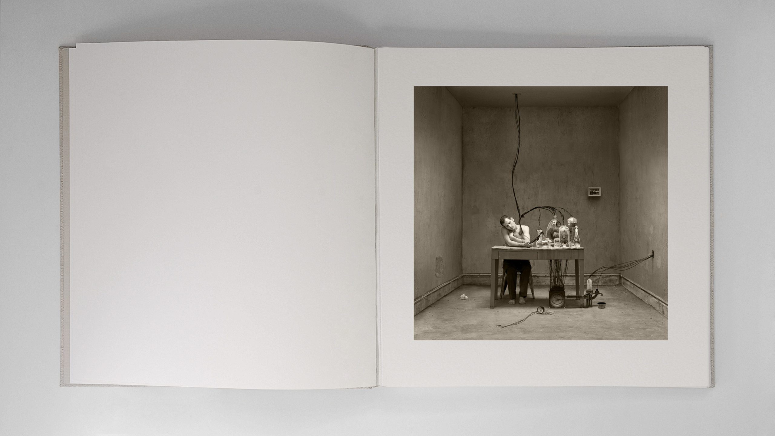 Monographs - Jennifer Thoreson, Multidisciplinary Artist