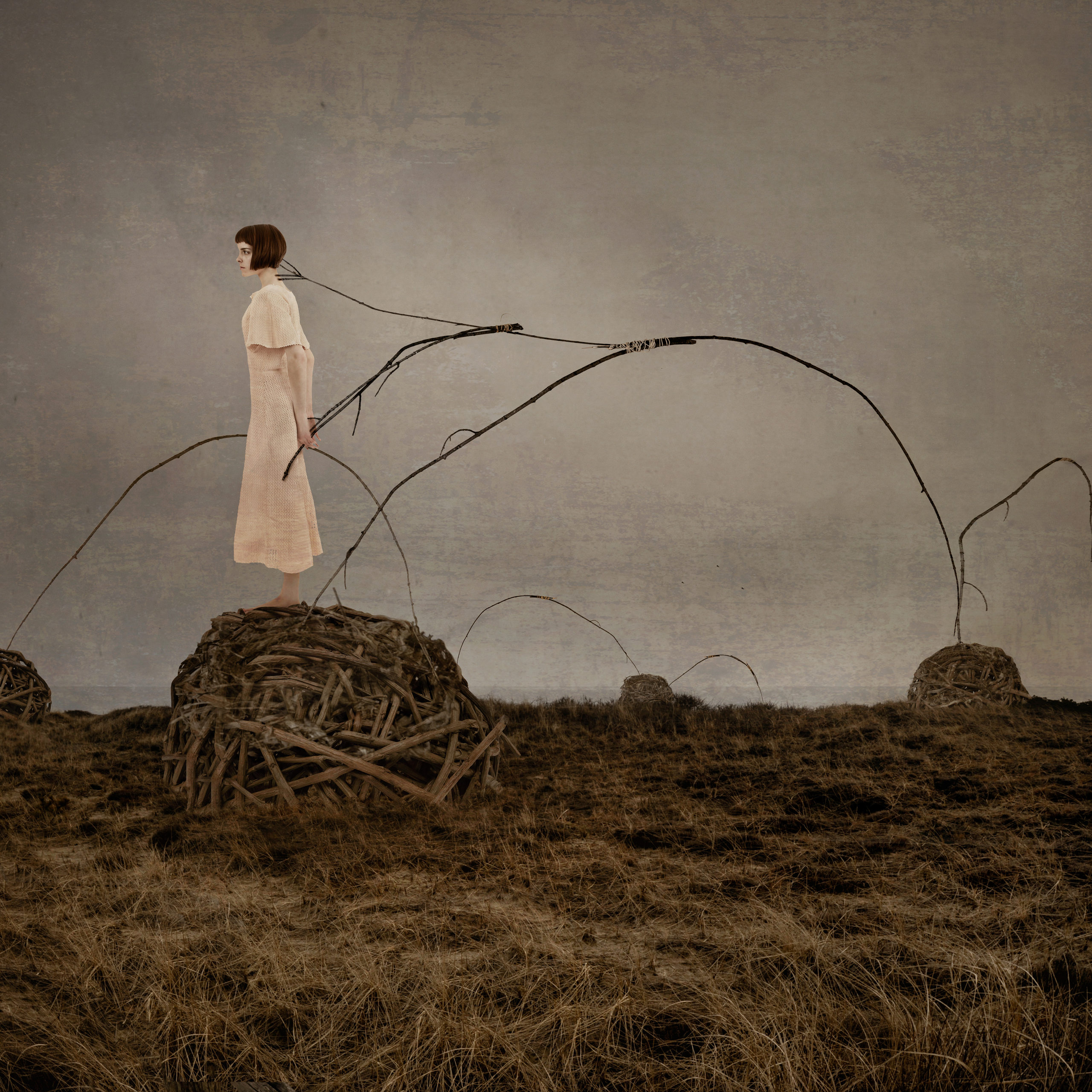 Traveler (2008) - Jennifer Thoreson, Multidisciplinary Artist