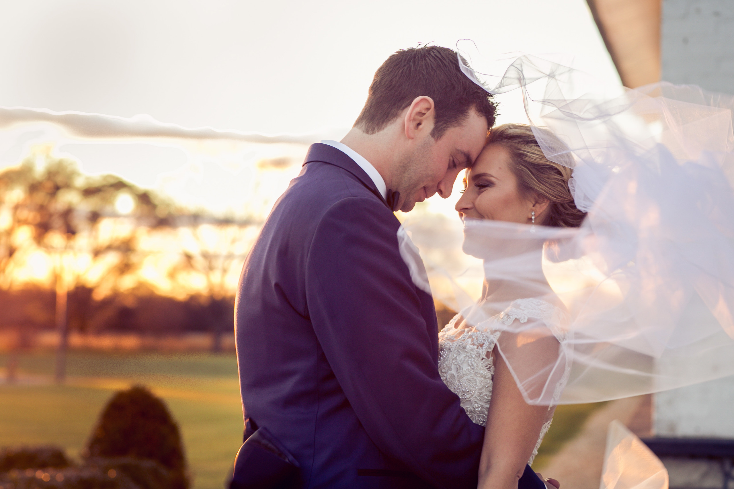 Wind Swept Veil: Wedding Day Sunset - Wedding - Shannon Z Photography