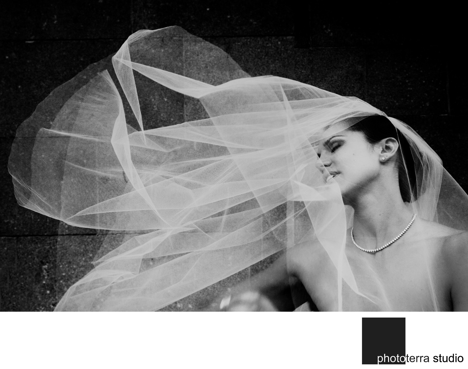 Veiled Moment - Wedding Gallery - Phototerra Studio