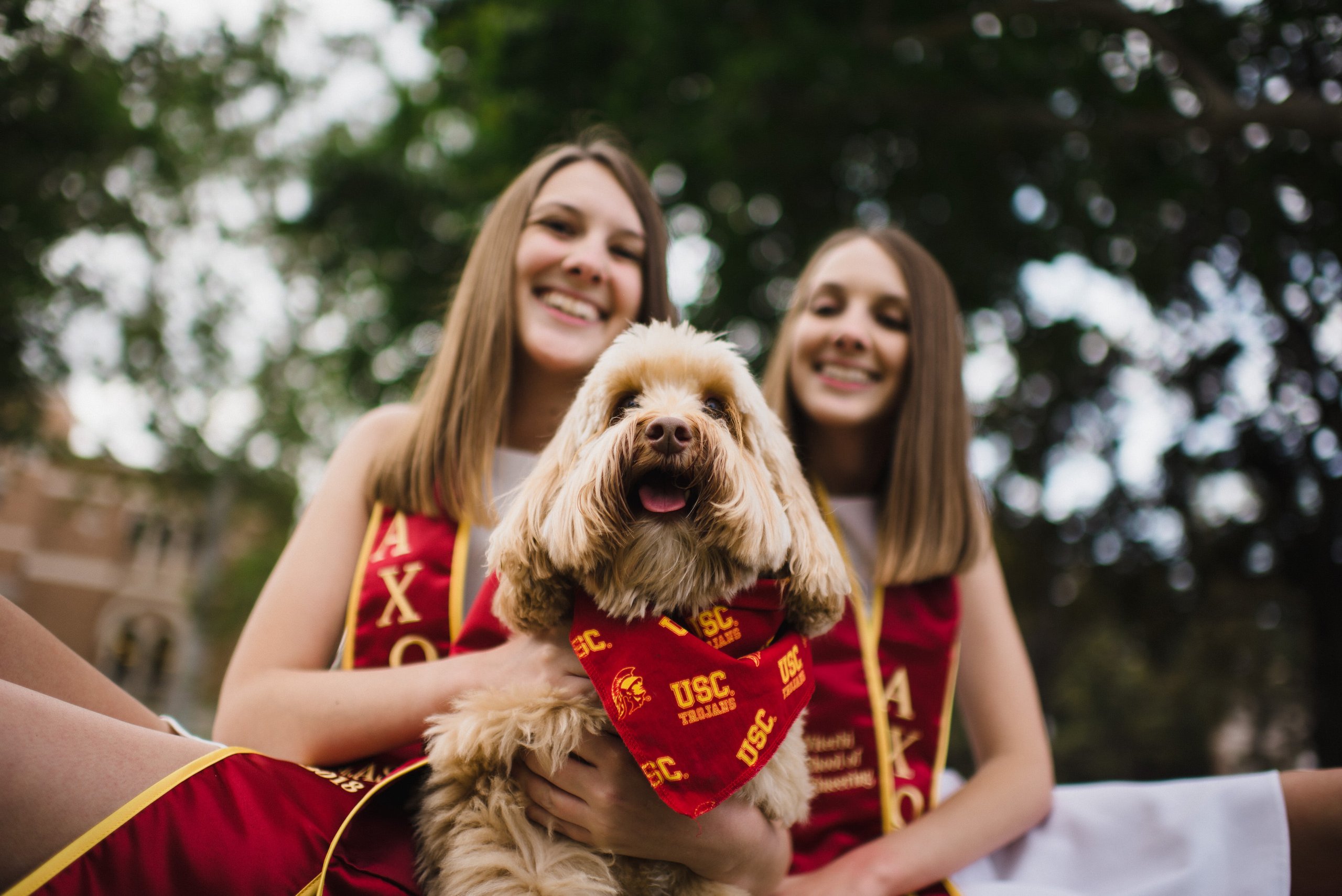 Best Props for the Ultimate Graduation Portraits - Stanley Wu Photography