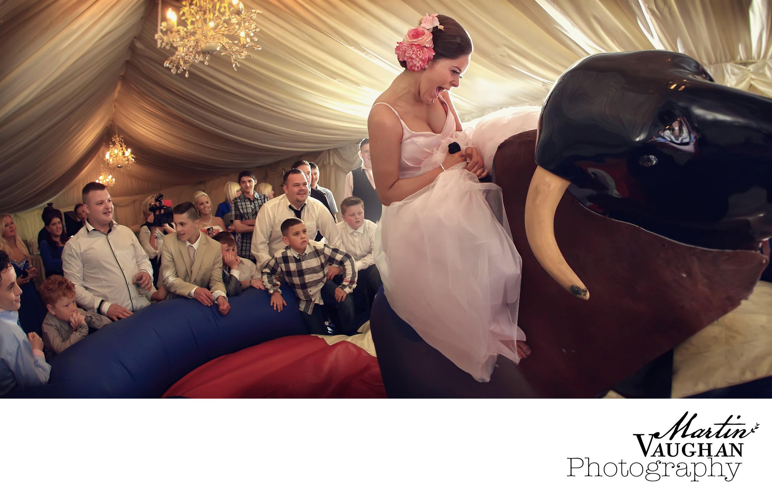 Rodeo Bull wedding at Meifod Anglesey