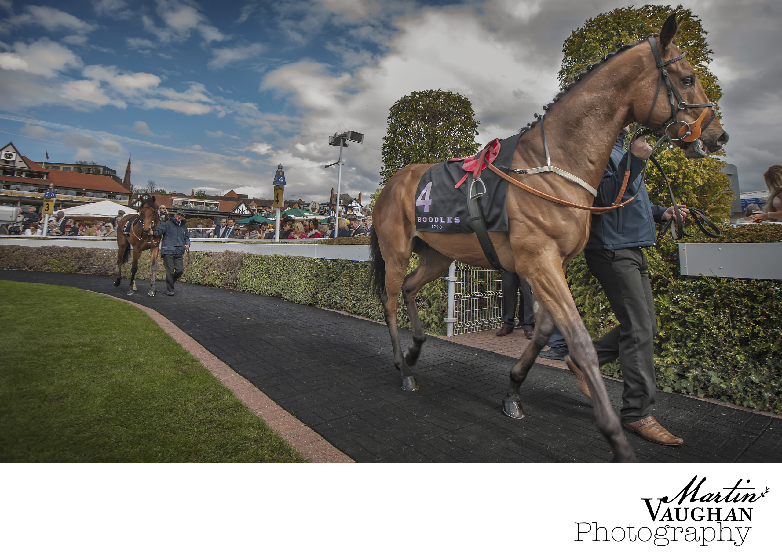 The Paddock photographs at chester races