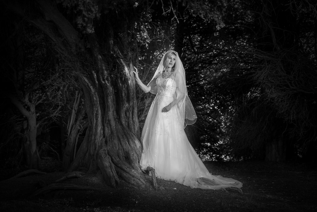Swinfen Hall Hotel - David Wadley Photographers