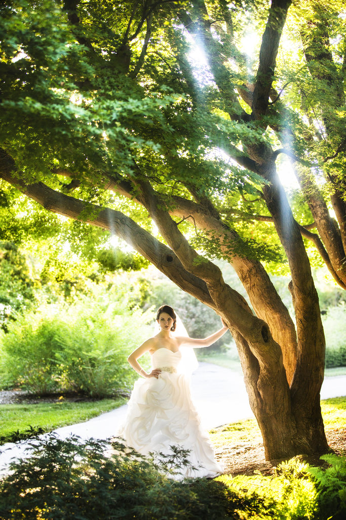 Aaron Imaging | Wedding Photographer - Asheville, NC