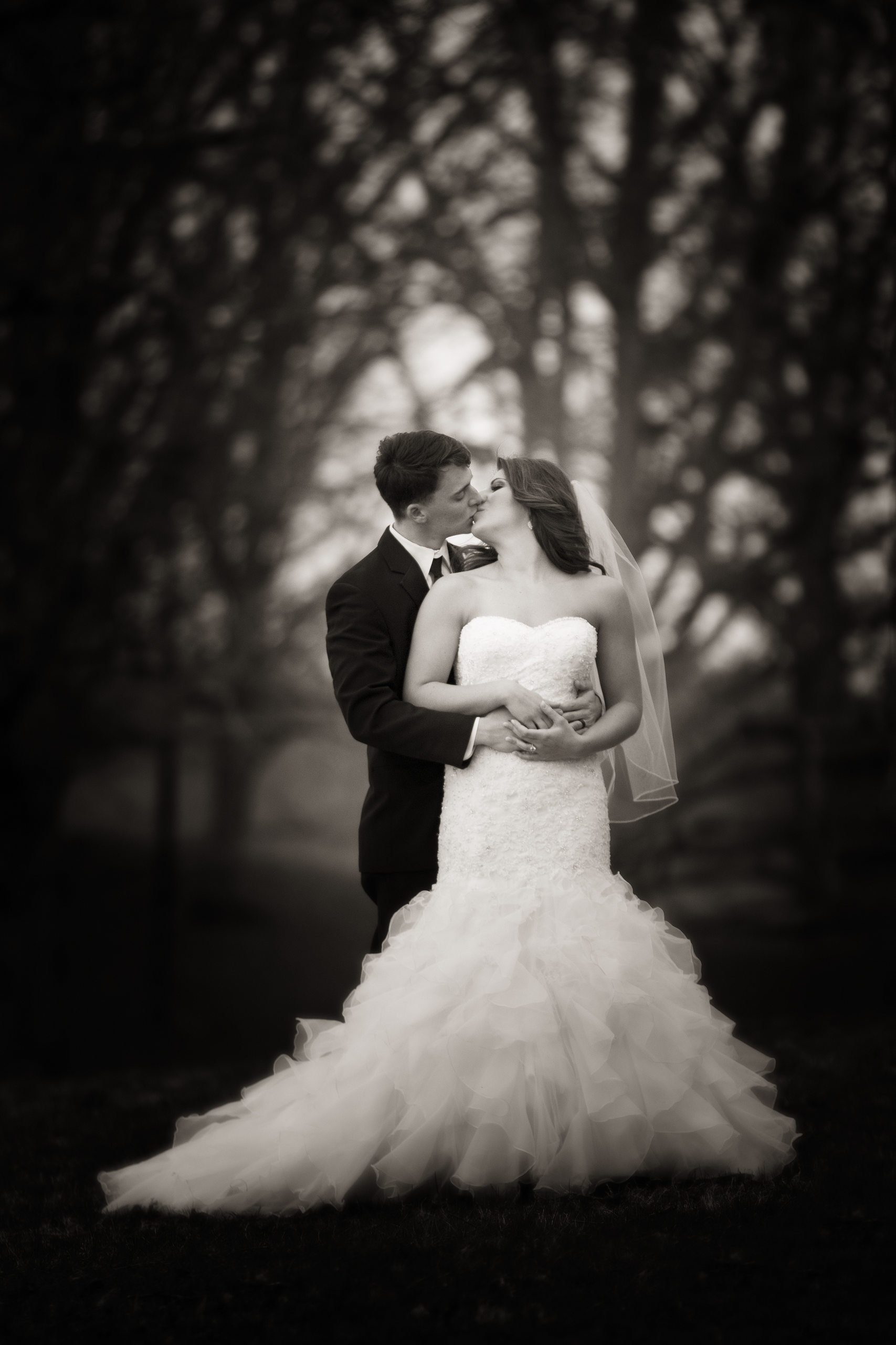 Aaron Imaging | Wedding Photographer - Asheville, NC