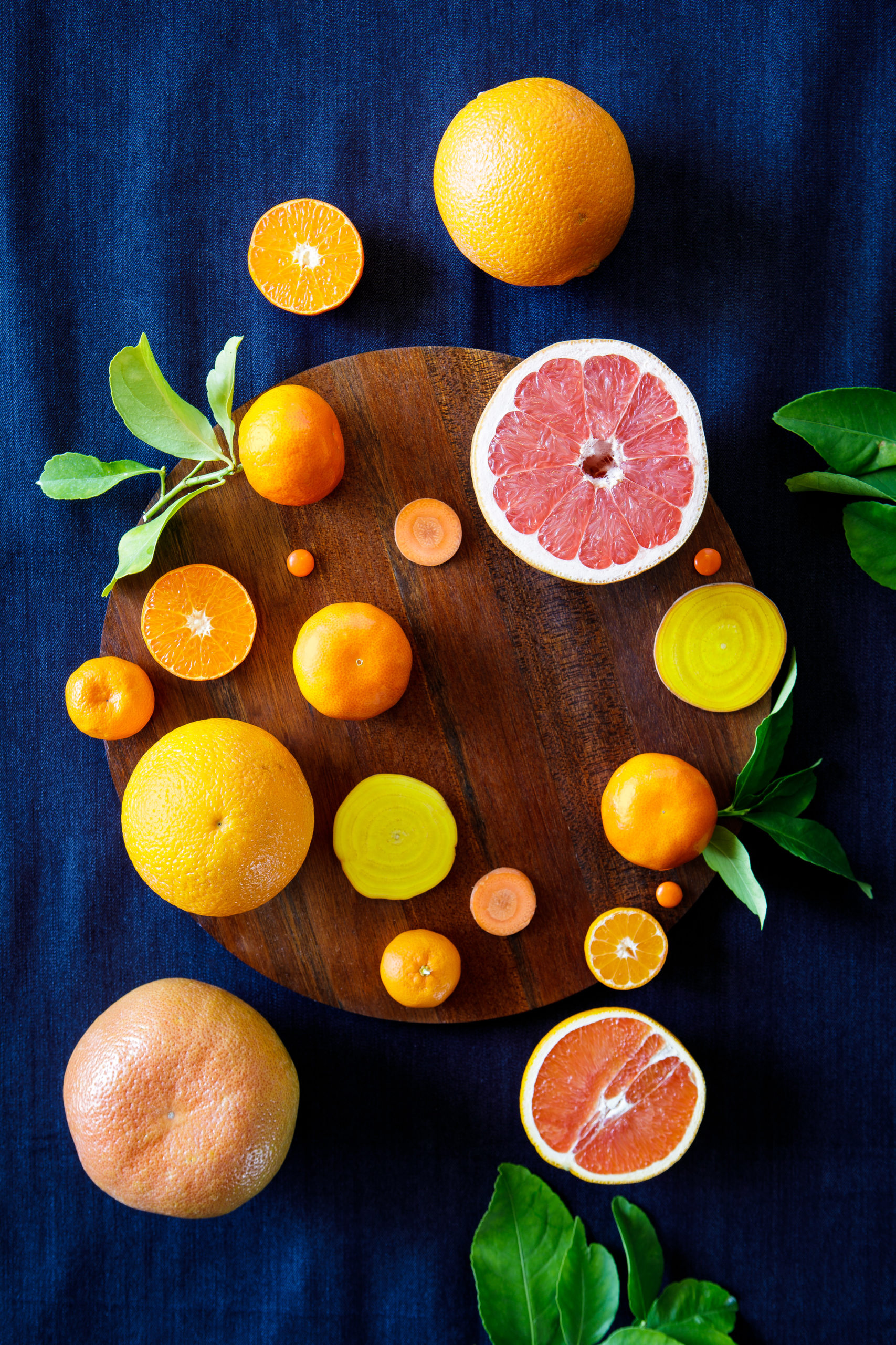 Vanessa Stump, Photographer