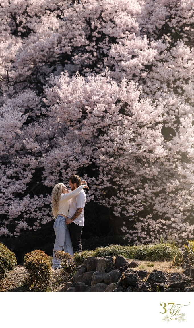Unforgettable Cherry Blossom Engagement Photos in Tokyo - Wedding Planners & Photographers in ...