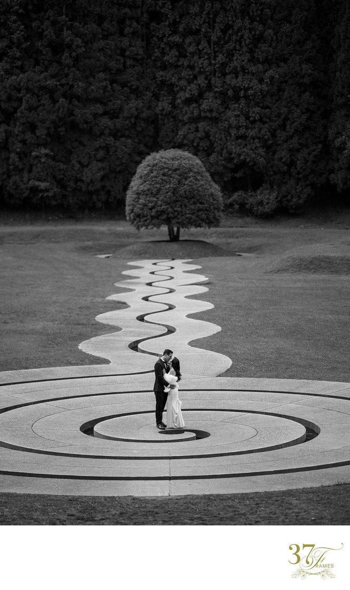 Creating Your Legacy Through Elopement Photography - Wedding Planners ...