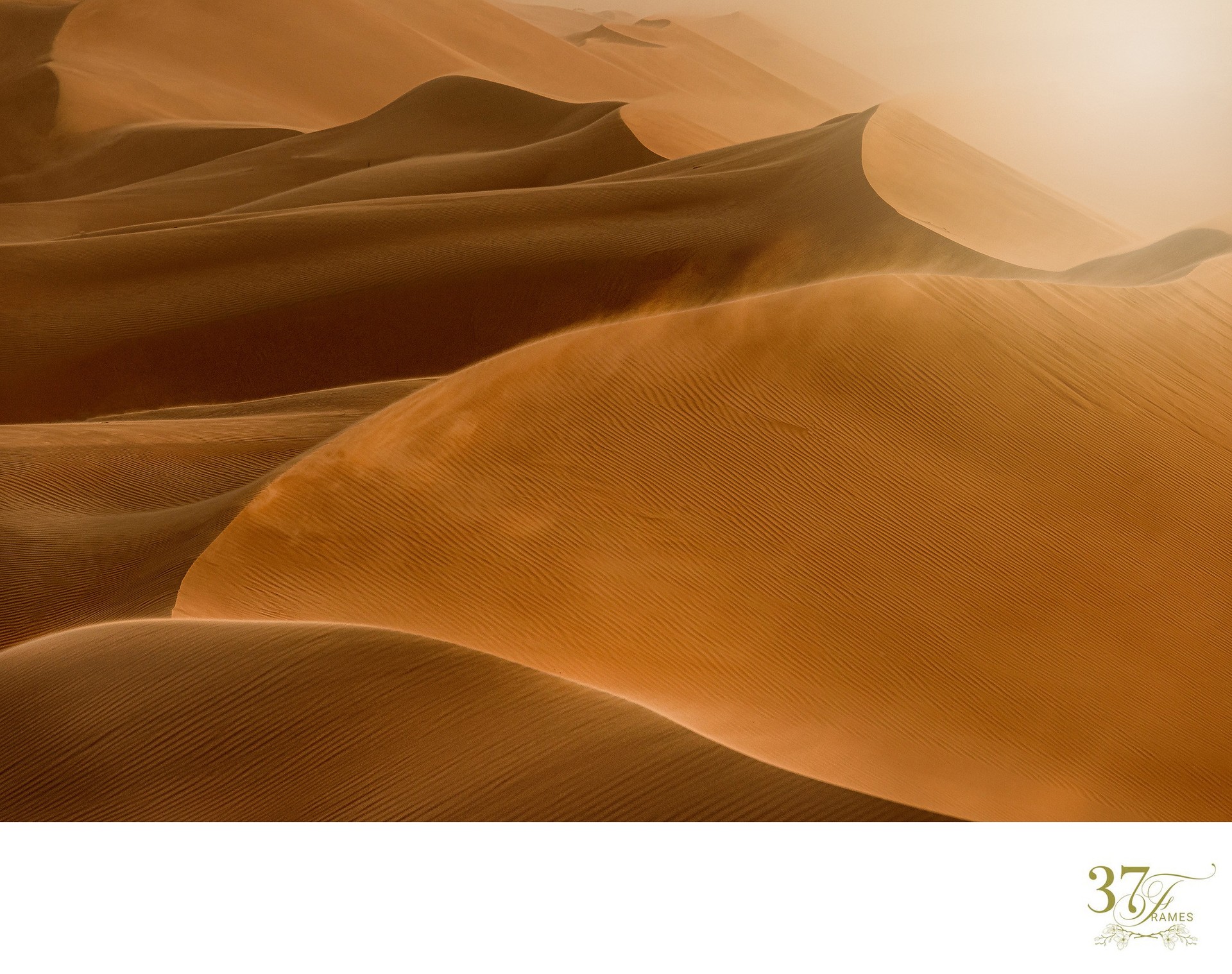 Oman Desert - 37 Frames Life Adventures - 37 Frames