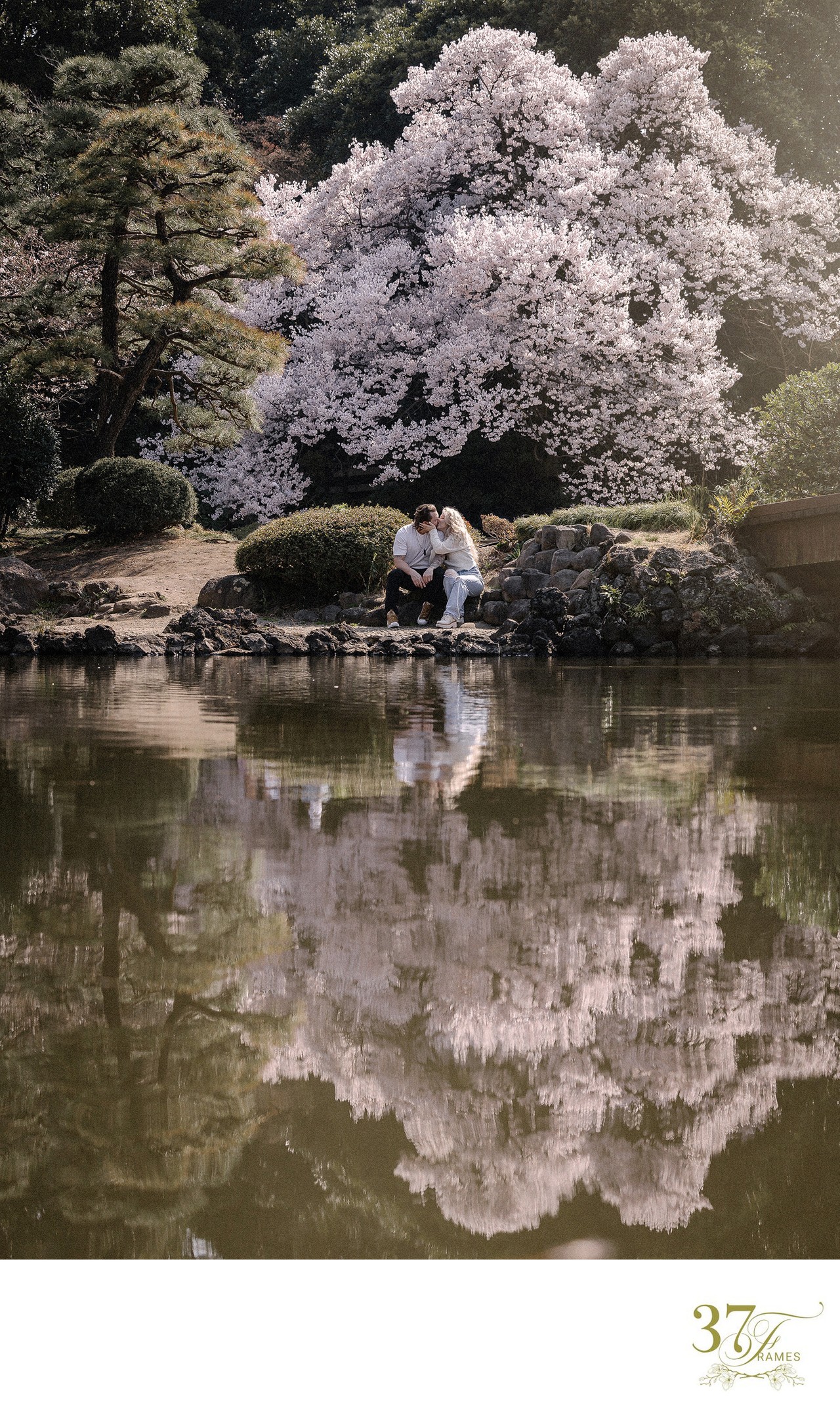 Eternal Love: Tokyo Cherry Blossom Engagement Photos - Wedding Planners & Photographers in Japan ...
