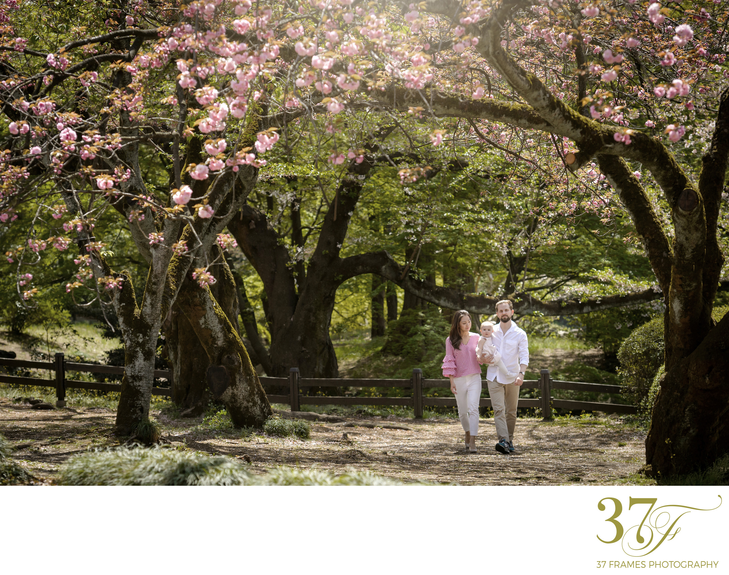 The Best Tokyo Parks for your Family Portraits - Family Photography in ...