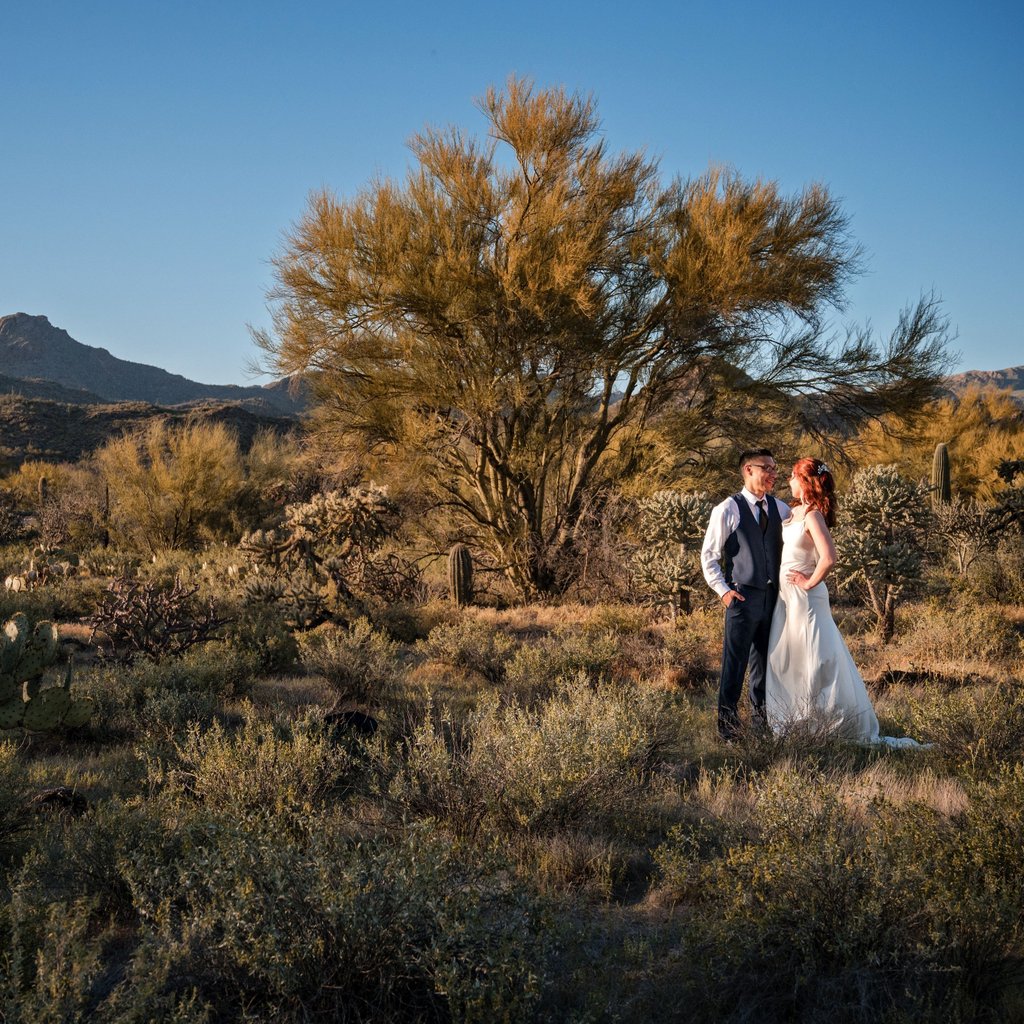 Heidi Hodges Photography