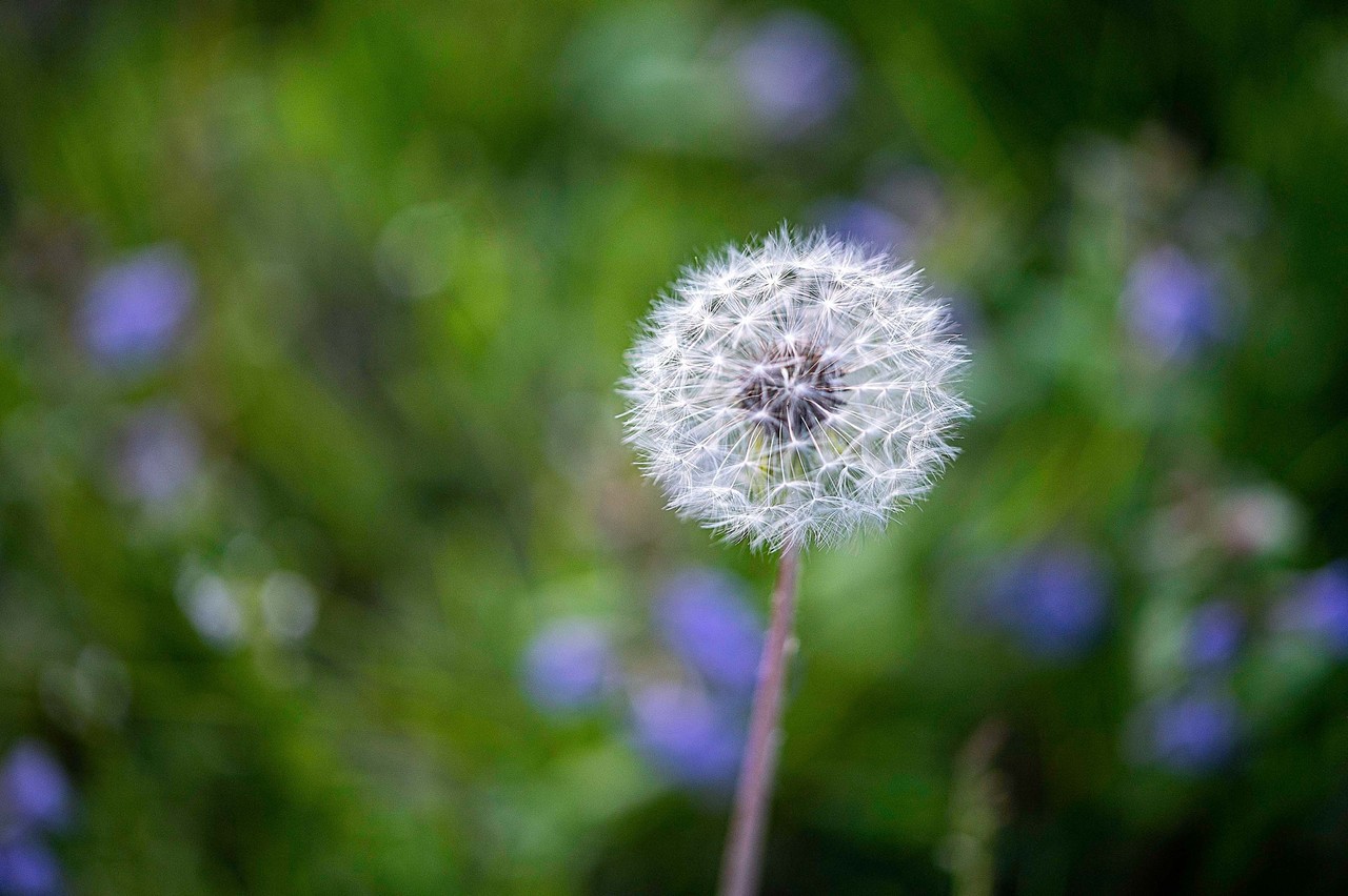 Photography that creates art for enthusiasts using light, nature, and ...