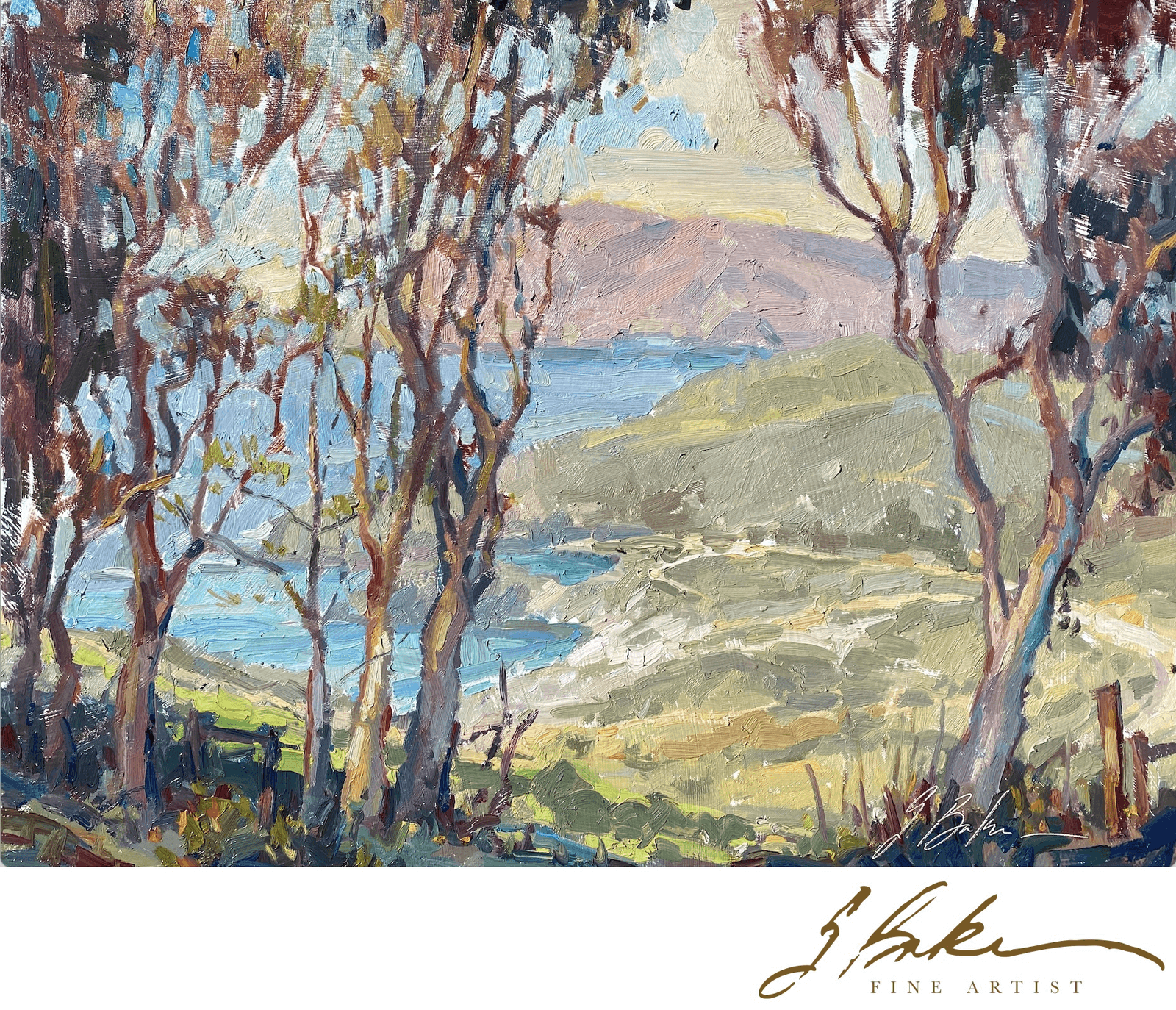 Artist View - Suzie Baker, Fine Artist