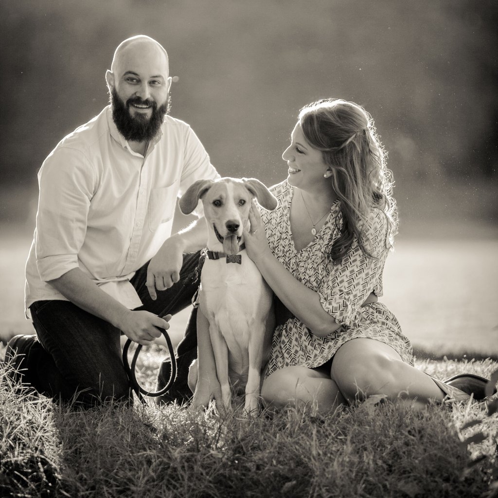 Engagement - Sharon Theresa Wheaton Wedding Photography | Nashville ...
