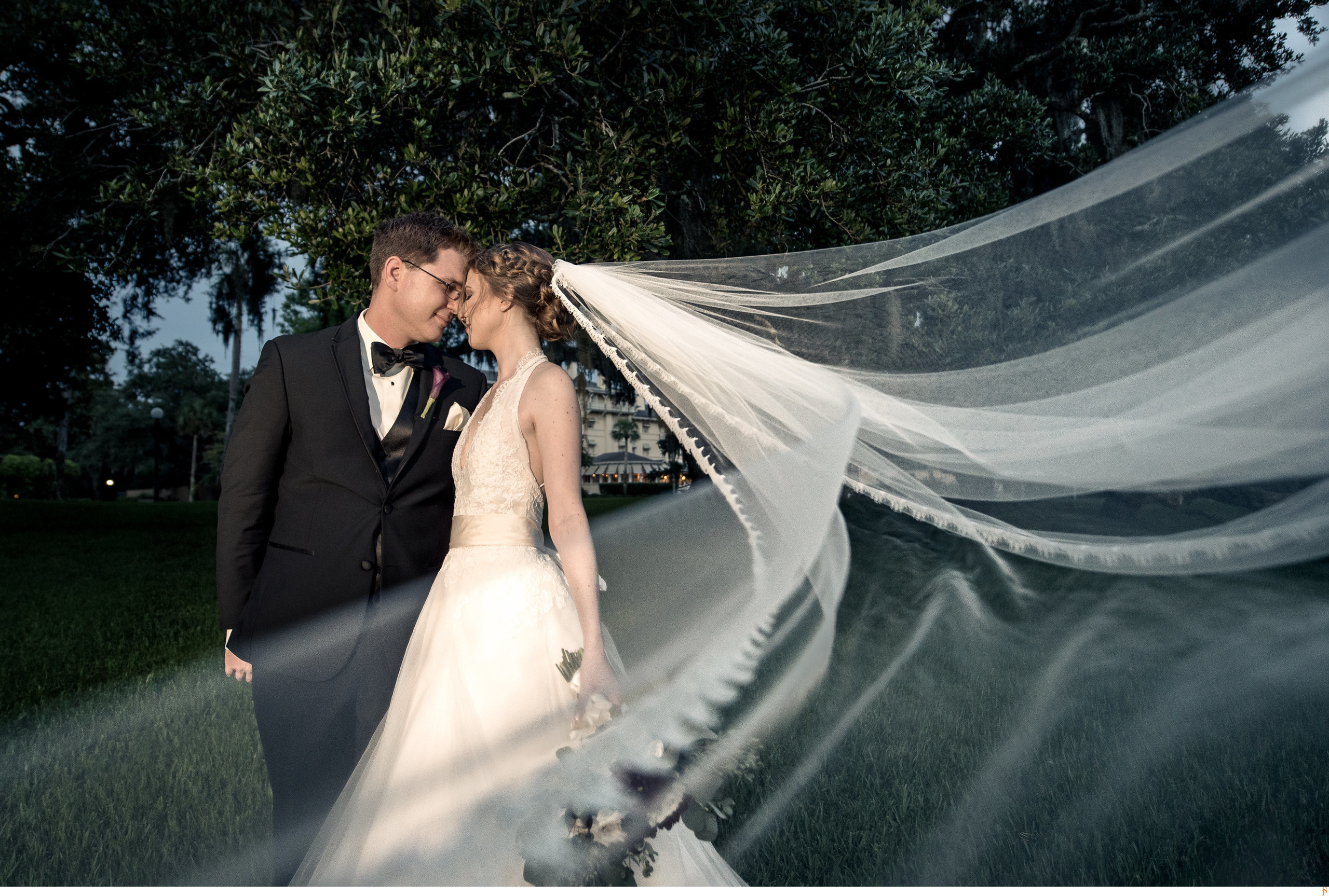 Bride and groom portrait with their cathedral veil - Book Us Today
