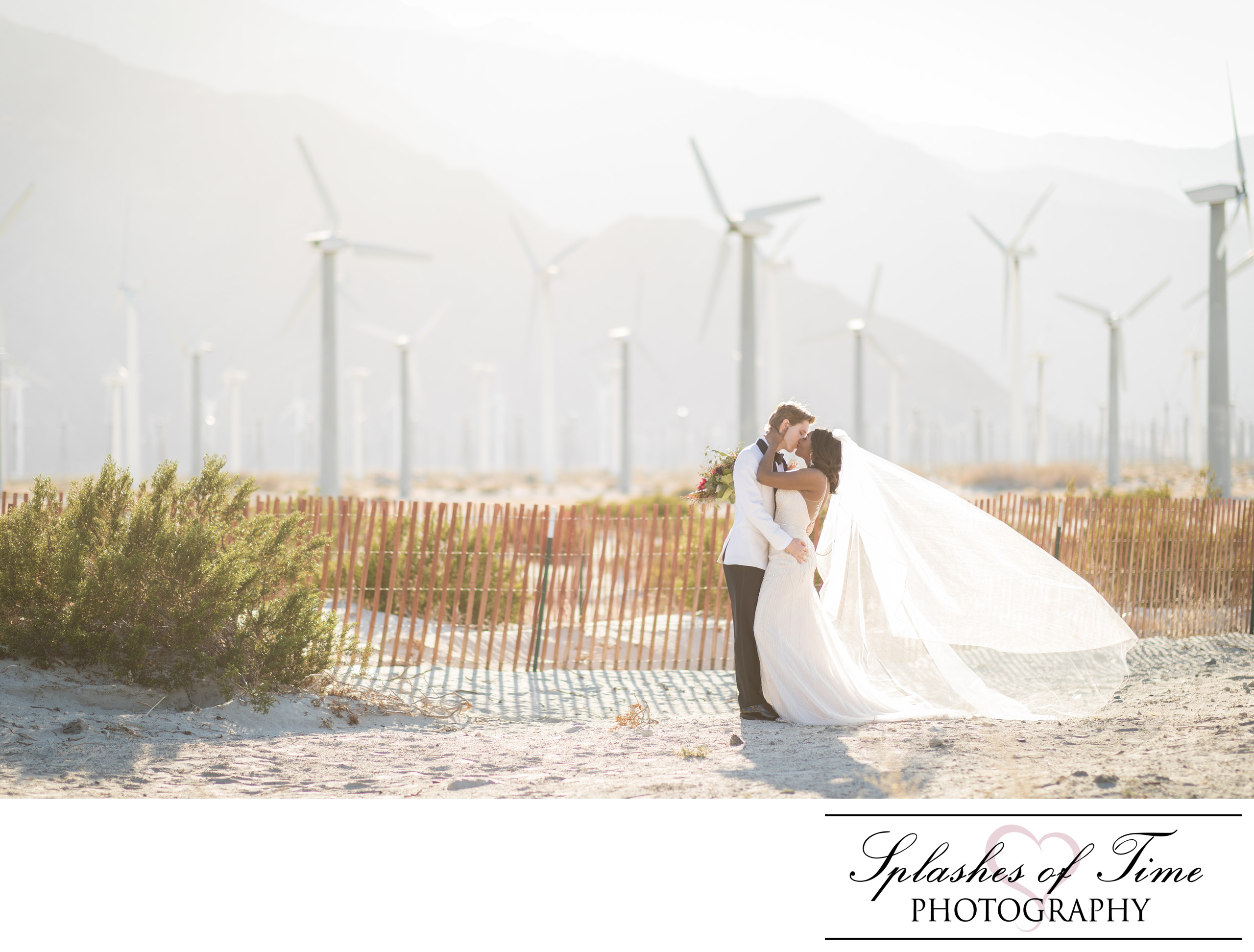 Palm Springs Photographer - Named Top Local Photographer by Couples