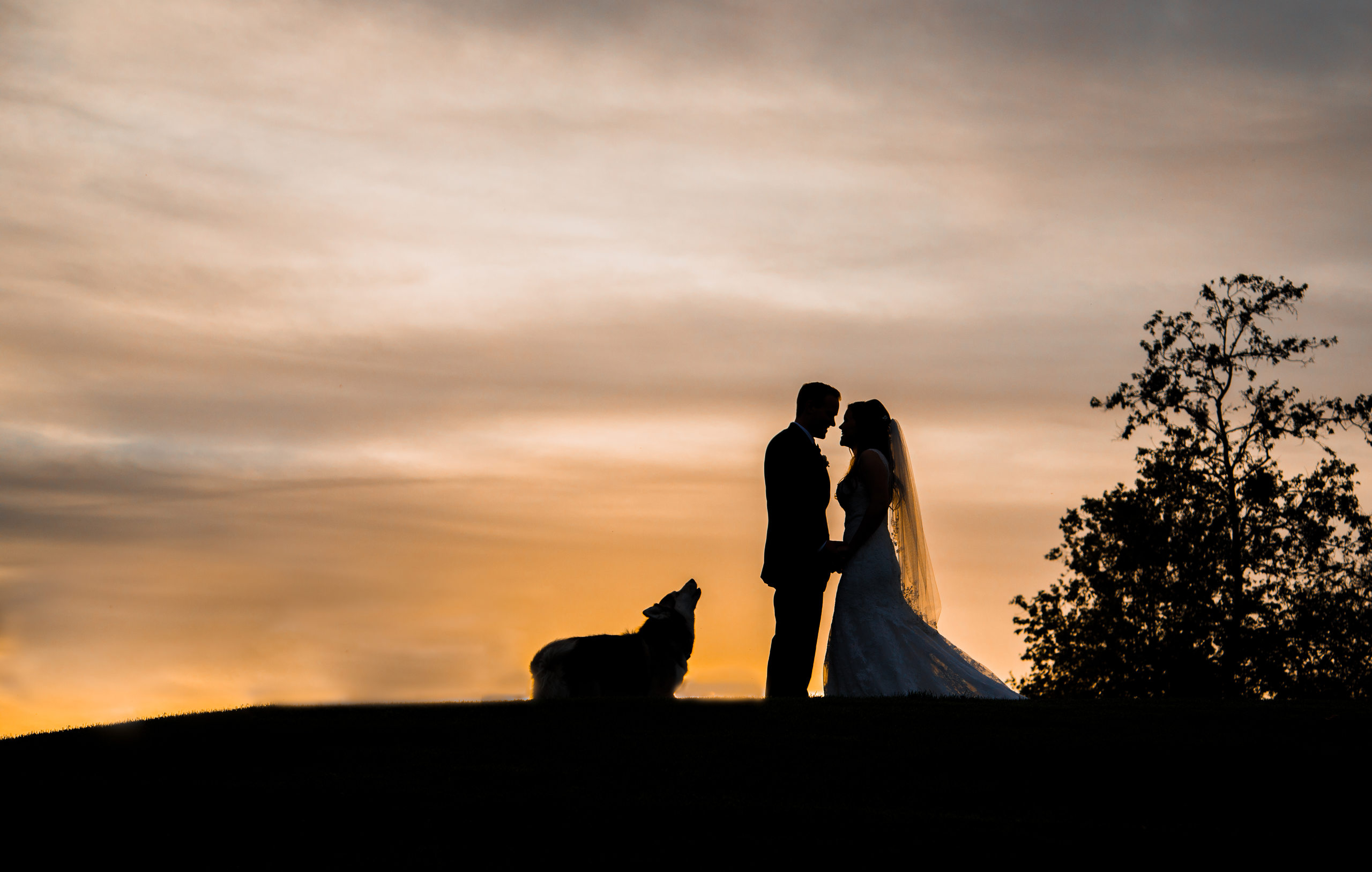 Top 10 Most popular Wedding Photography Studio in the United States