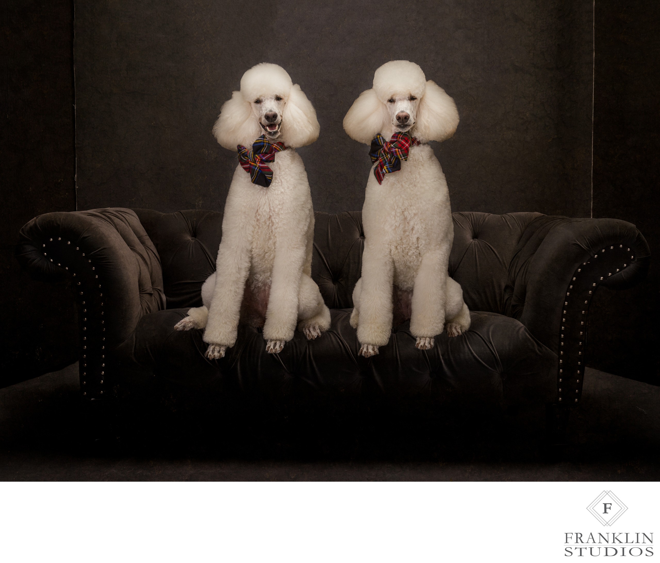 Capture Your Essence! - Franklin Photography Studios