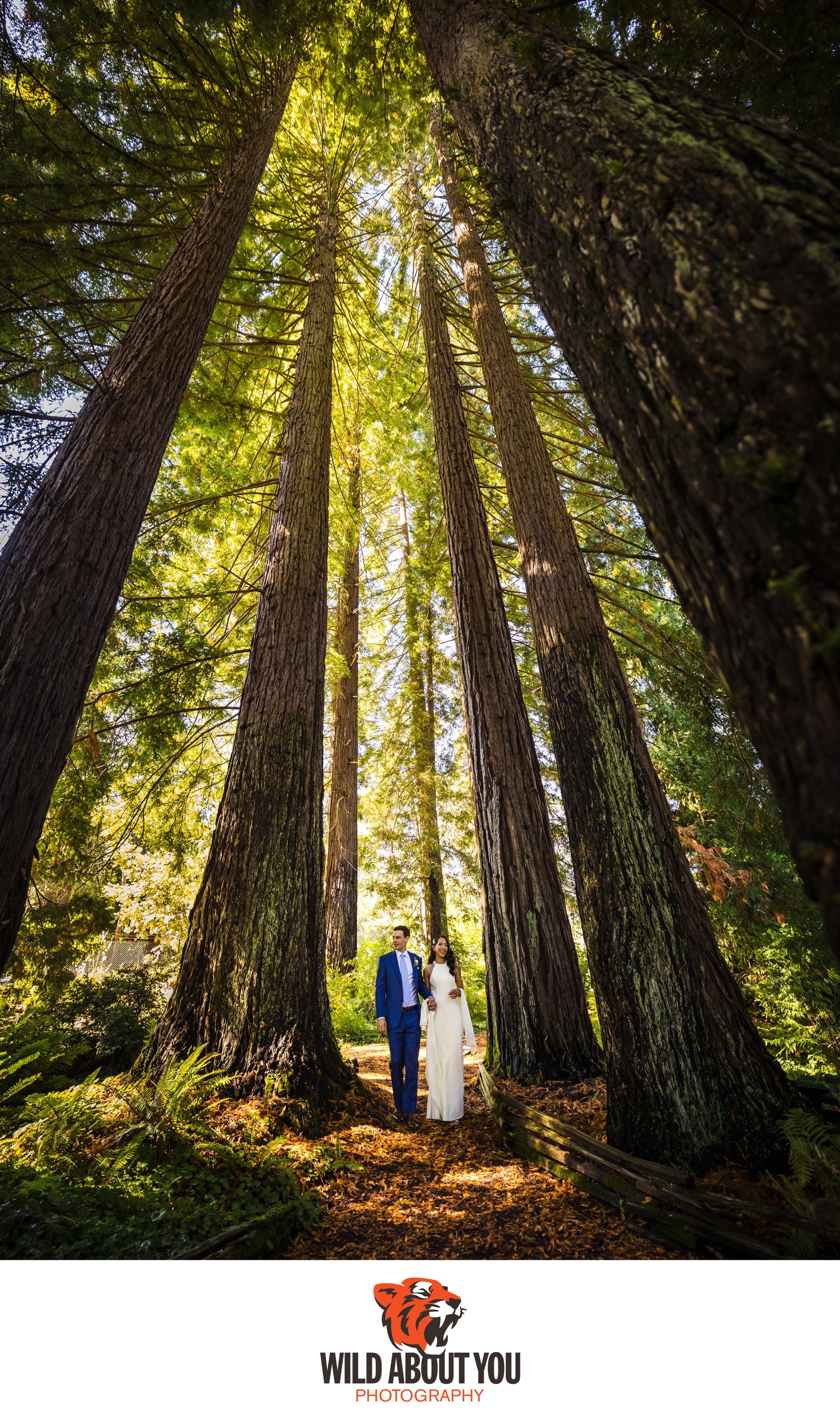 Brazilian Room (Berkeley wedding venue) - Wild About You Photography