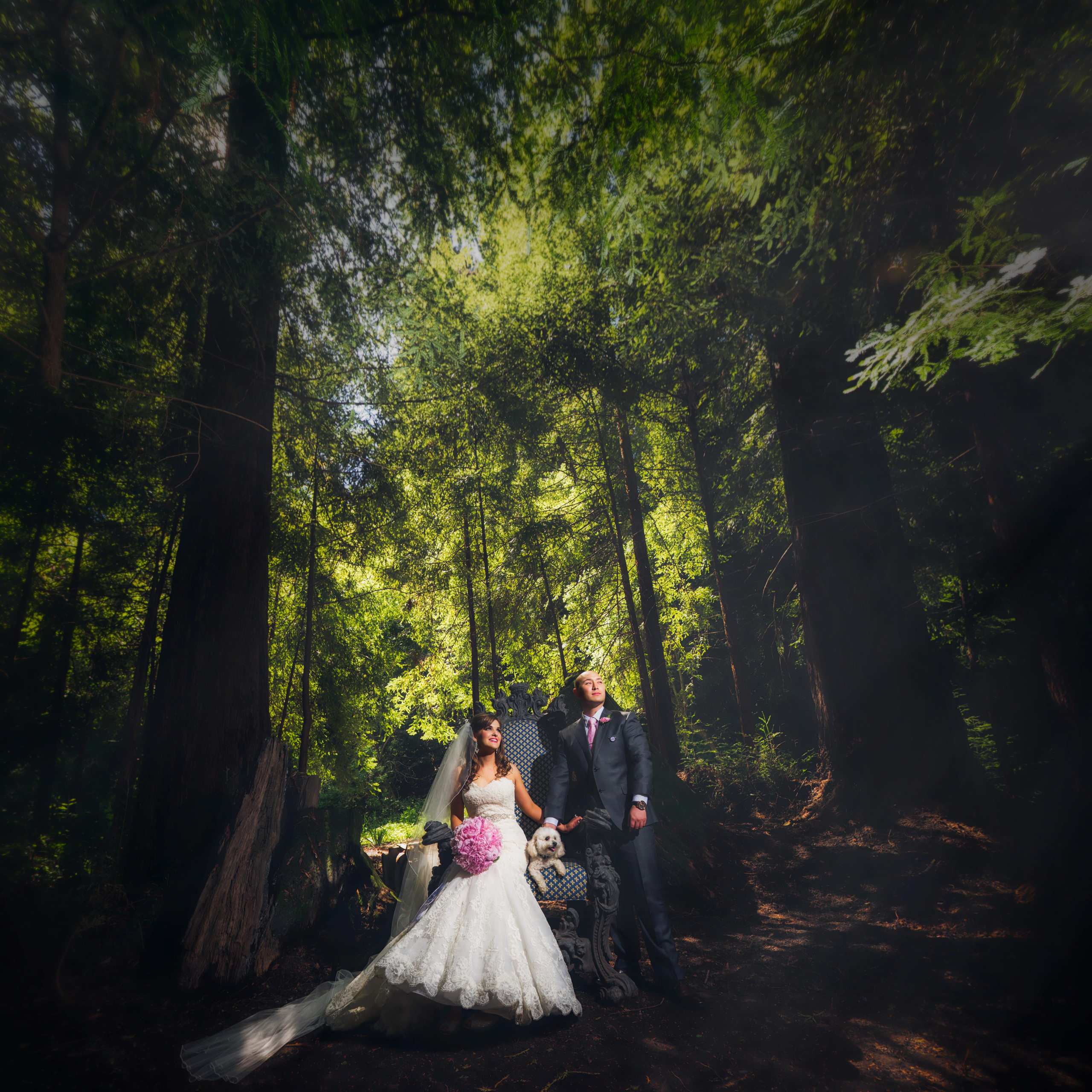 San Francisco Bay Area Wedding Lifestyle And Branding Photographers