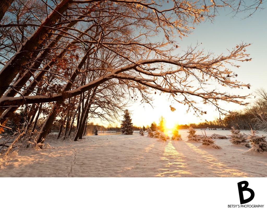 Snowy Morning in Michigan - Travel Fine Art Photographs of the United ...