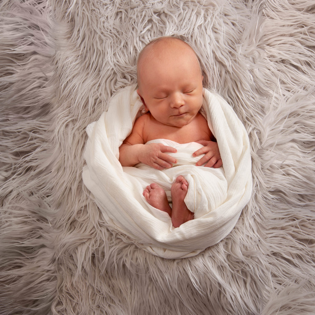 Baby Portrait Photography: Dexter Ann Arbor Photographs - Betsy's ...