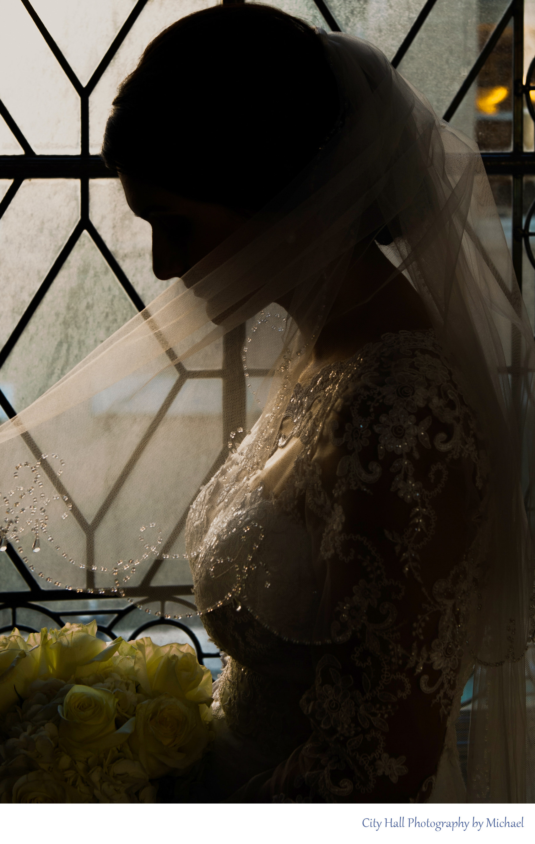 Bridal Profile Image at SF City Hall - Bride Photography - San ...