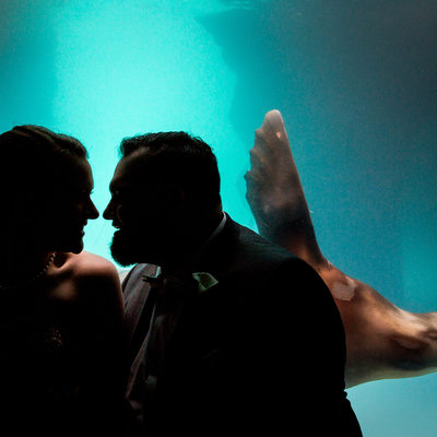 Jacqueline Connor Photography | WNY Wedding, Dance, and Portrait ...