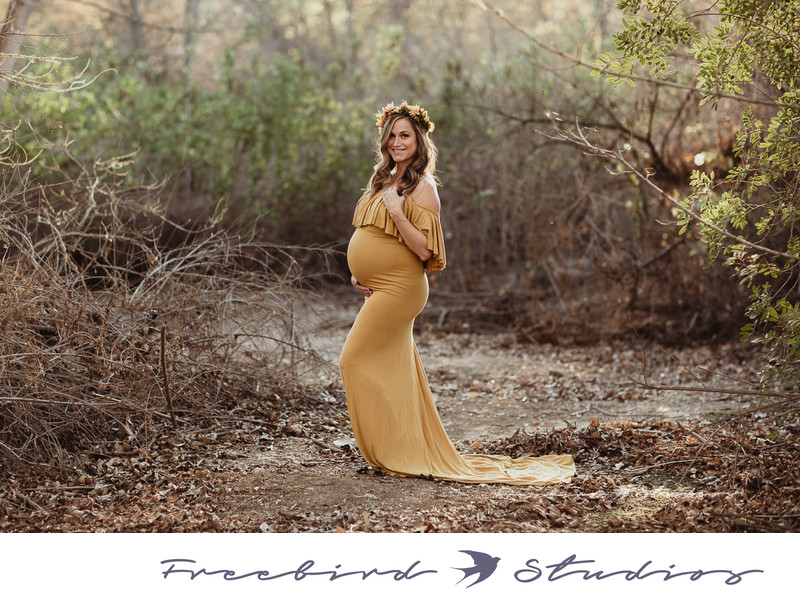 Home - Freebird Studios