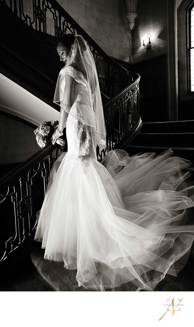 Black and White Bridal Portrait - Wedding Gallery - Images by N'neka